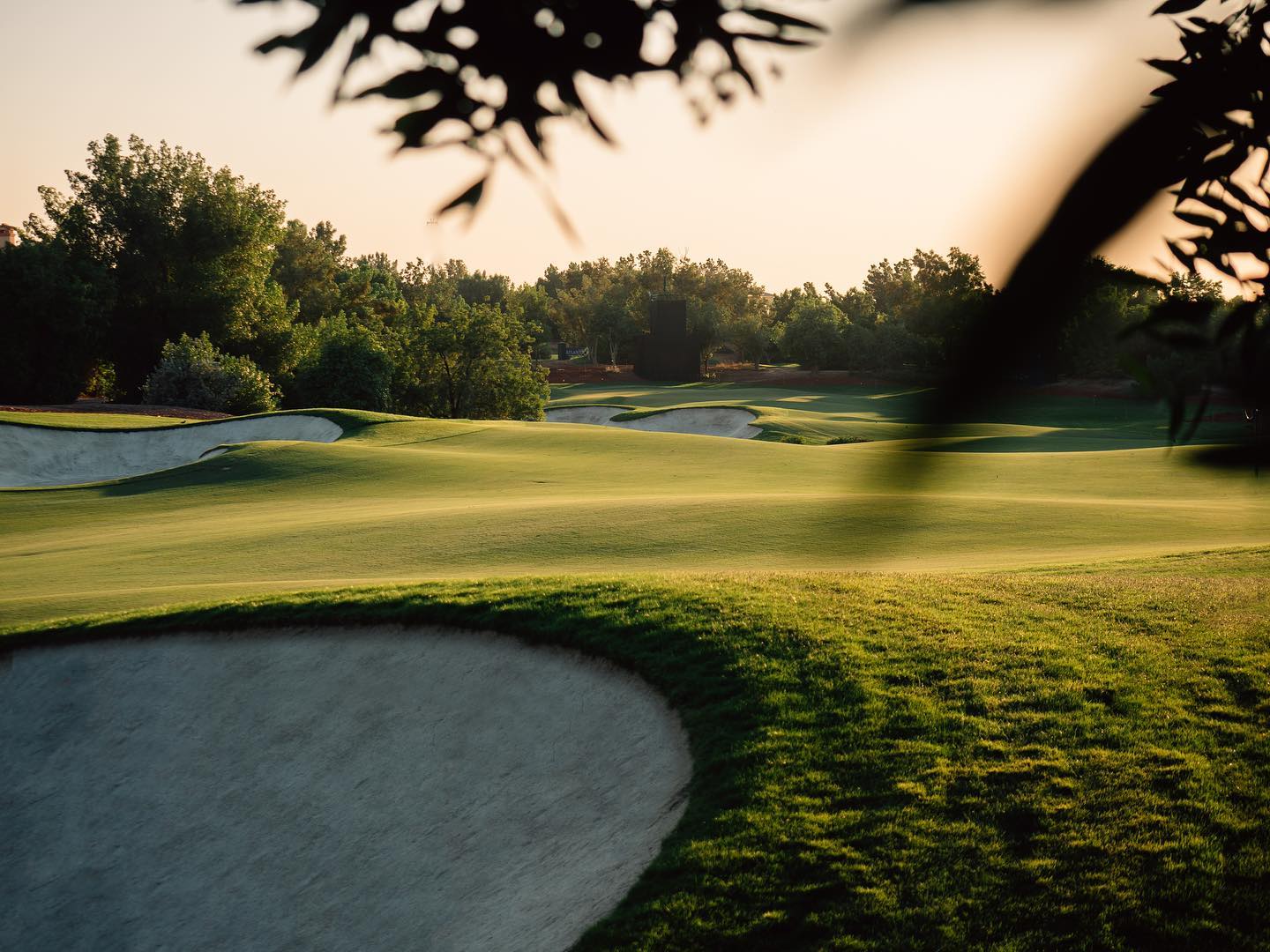 2023 DP World Tour Championship Live Stream (How to WATCH)