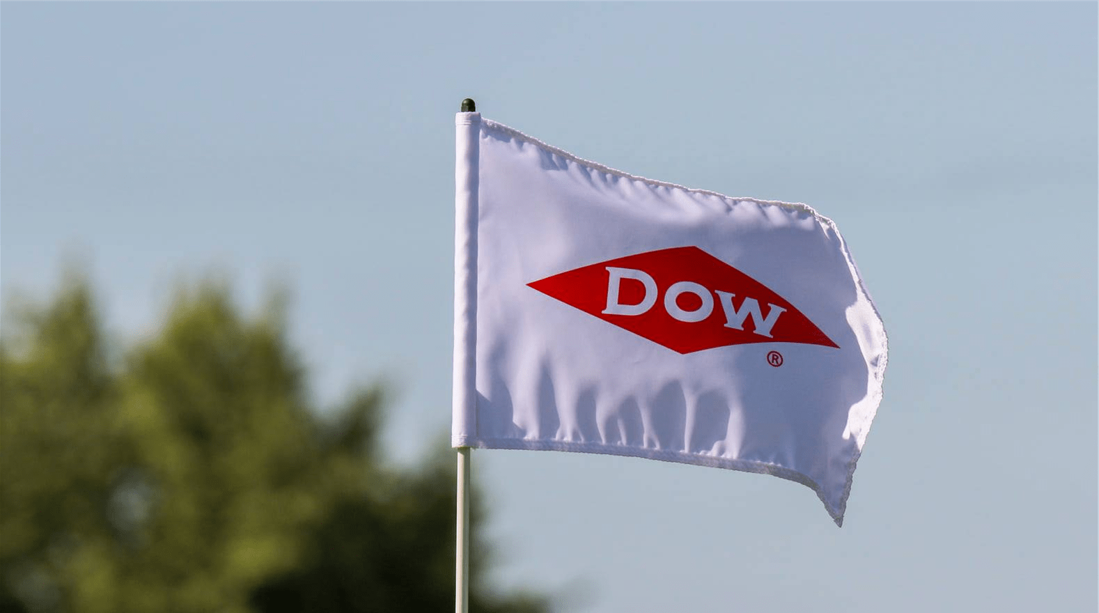 2026 Dow Championship Live Stream (How To WATCH)