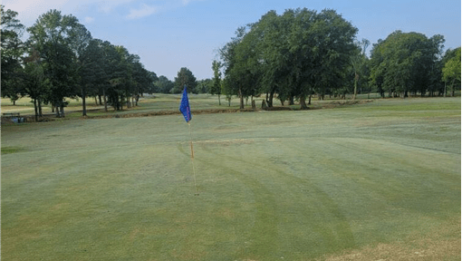 Campos de golf en Morrilton, Arkansas (públicos y privados)